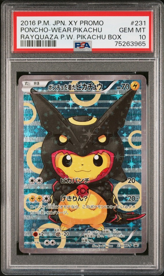 Pokemon Pikachu Poncho Rayquaza Charizard Magikarp Gyarados Mario Luigi ...