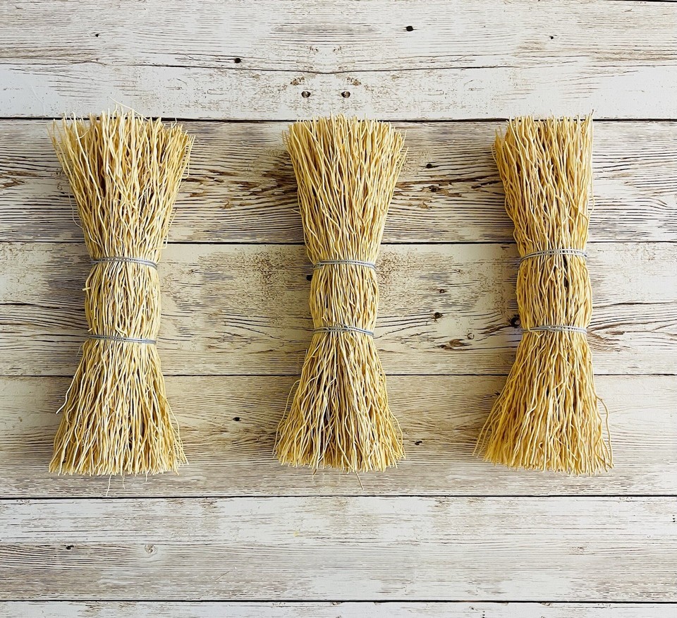 6x Mexican Fiber Root Brush Scrubber 6x Escobetas de Raiz | eBay