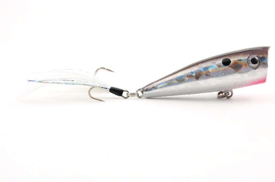 Lobina RIO Rico Popper Lures **CHOOSE COLOR** | eBay