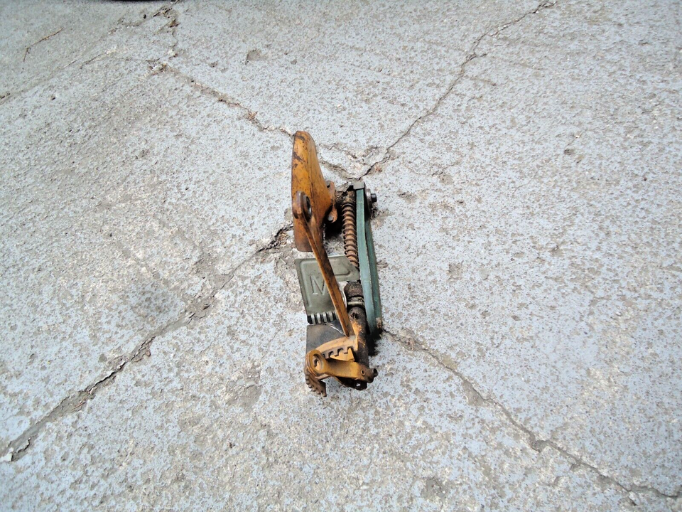 Wards EDGER OEM Cutting Cutter Head Body Assembly for 801-3RP 3HP Edger ...