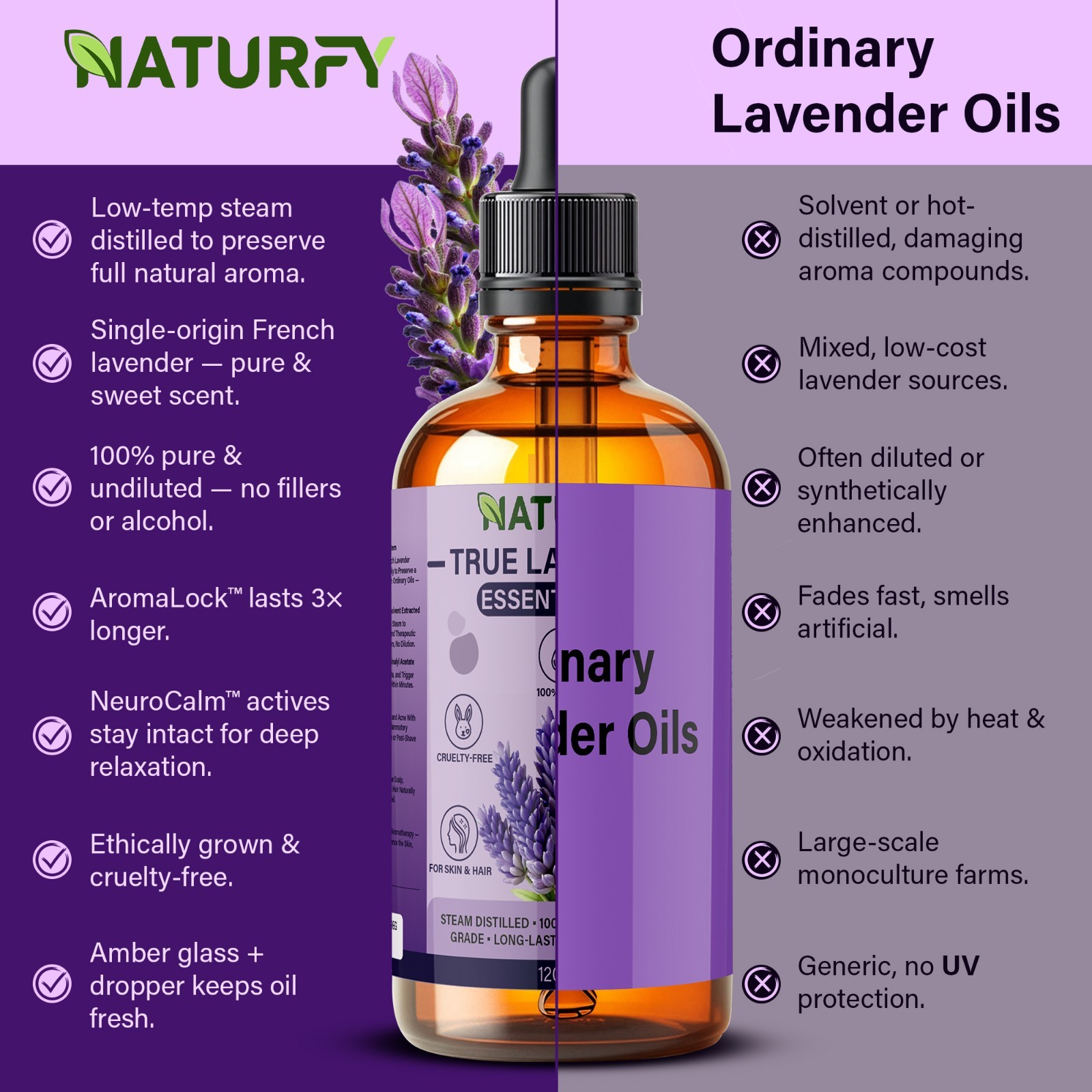 Pure Lavender Essential Oil - 100% Pure, Certified & Natural ...