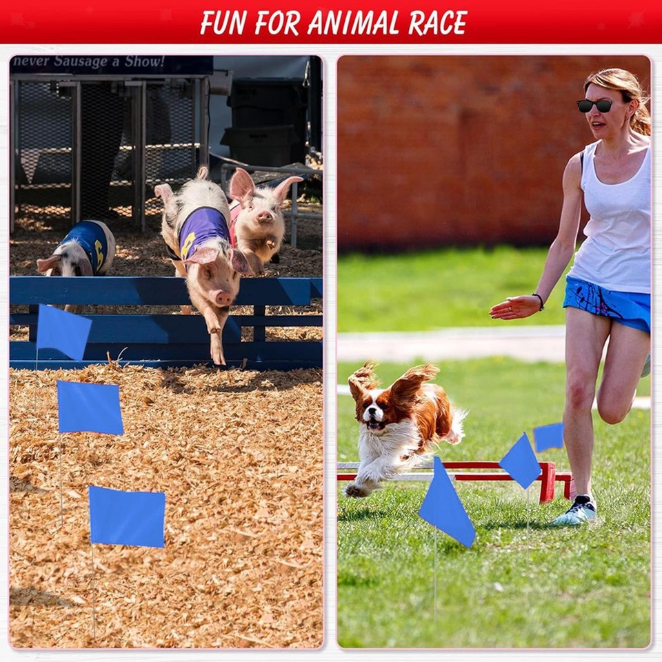 50x Blue Marking Flags Multipurpose Marker Flags for Landscape Garden ...