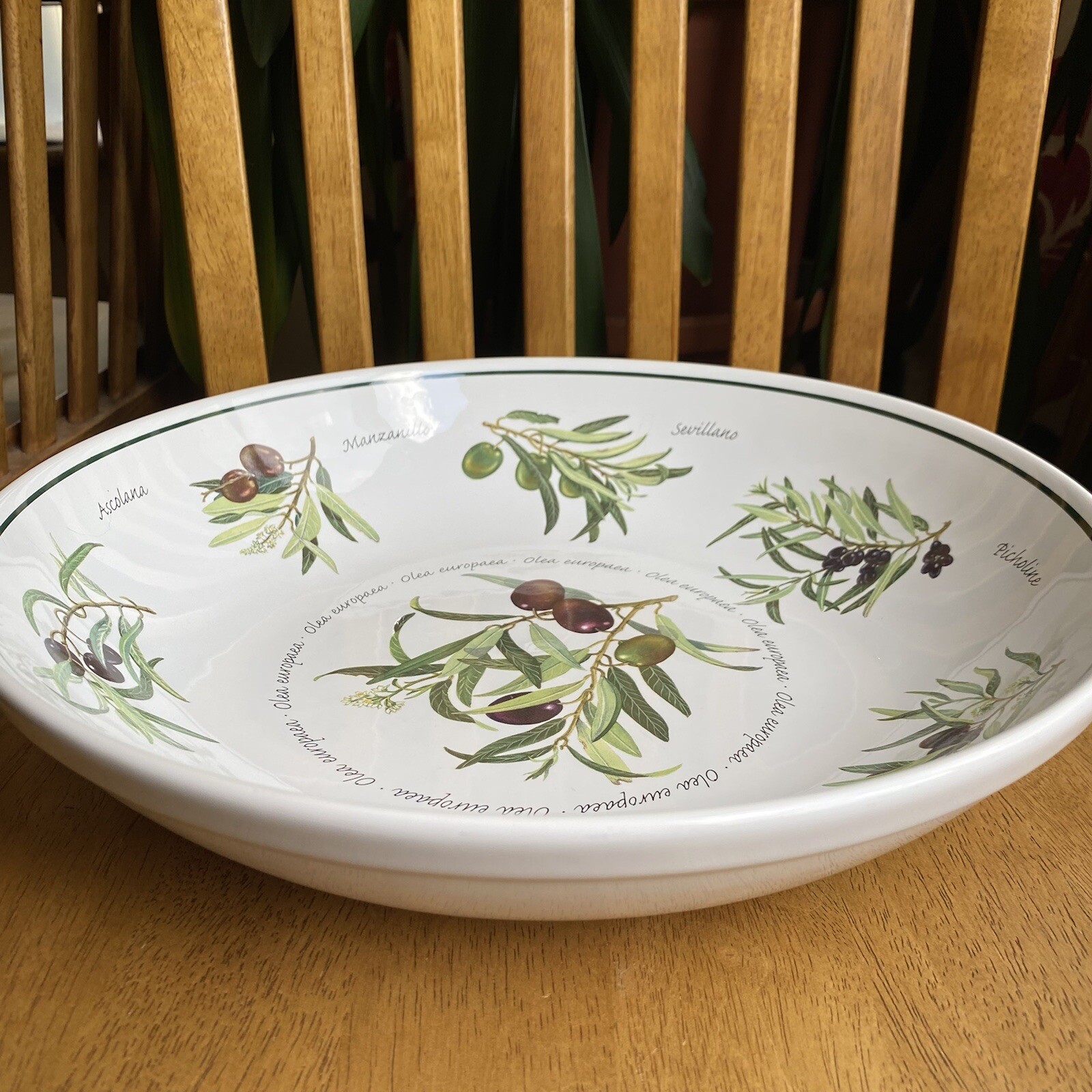 Olea Europaea Williams-Sonoma 13" LARGE Pasta Serving Bowl Kalamata ...