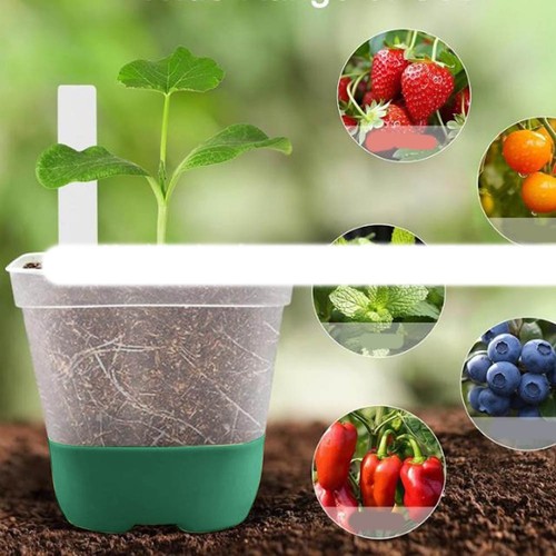 Reusable Transparent Planting Pots Set of 12 for Indoor and Outdoor Use ...