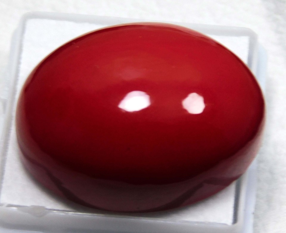 64.70 Ct Natural Italian Red Coral Cabochon Oval Cut Loose Gemstone MA ...