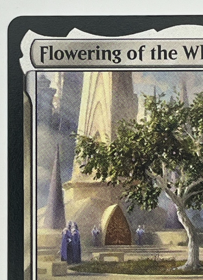 MTG Flowering of the White Tree LTR #015 Lord of the Rings Magic LOTR ...