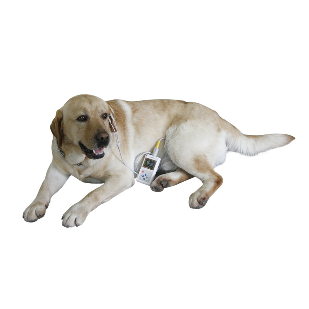 Dog/Cat CMS60D VET Veterinary Pulse Oximeter SpO2 PR monitor+ Vet ...
