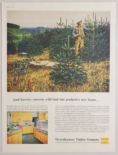1958 Print Ad Weyerhaeuser Timber Company Forestry Man & Pine Tree Farm ...
