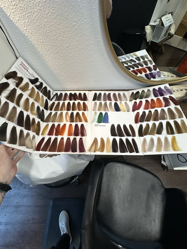 Framesi Framcolor 2001 Swatch Book | eBay