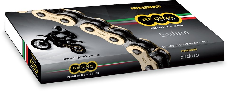 Regina 520 ZRE Z-Ring Chains 135ZRE/1004 | eBay