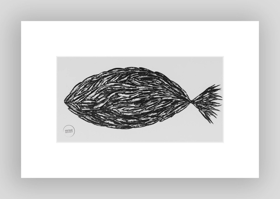 VTG Irving Penn Print Fish Made Of Fish New York Engraving Art 1939 Mat ...