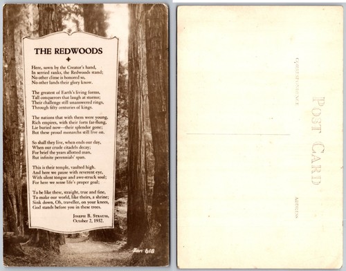 Redwood Trees Forest Poem The Redwoods Strauss Postcard | eBay