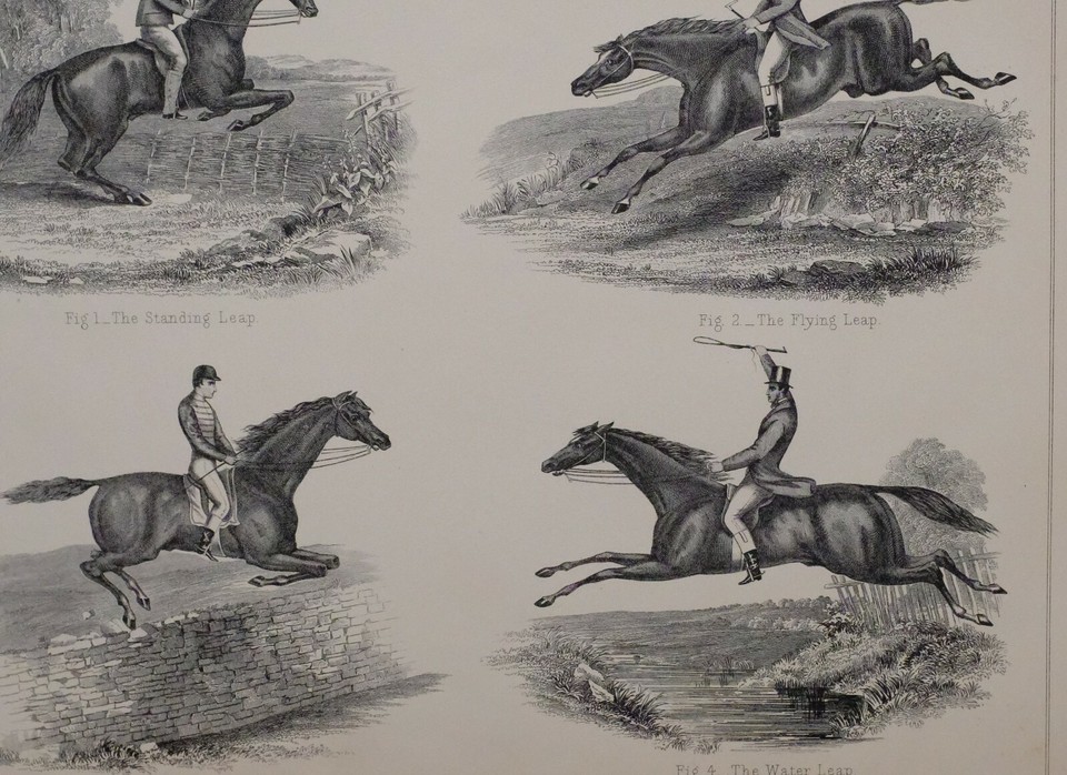 1880 FARRIERY PRINT LEAPING STANDING LEAP BUCK JUMP WATER LEAP FLYING ...