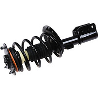 Suspension Strut and Coil Spring Assembly-PRO-Strut fits 04-08 Grand ...