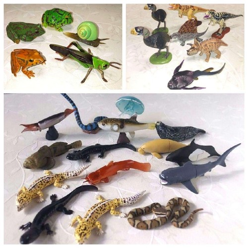 Kaiyodo Choco Egg Japanese Animals Insects Dinosaurs Ancient Creatures ...