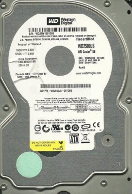 WESTERN DIGITAL 250GB WD2500JS-00TGB0 DCM DSBHYT2AA | eBay