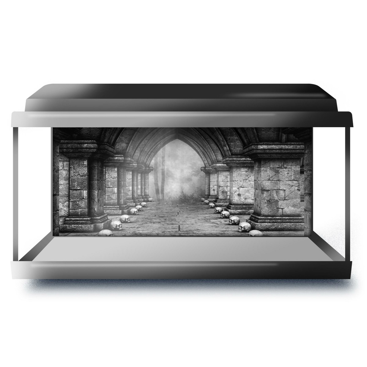 Empty Fish Tank Background