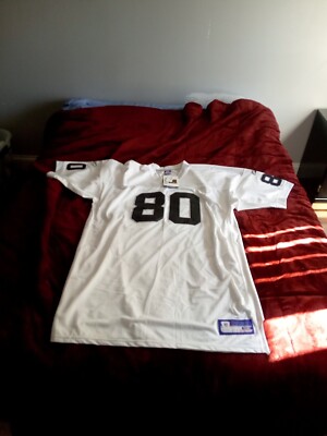 Vintage Reebok NFL Authentic Team Replica Jerry Rice 80 Jersey Men XL ...