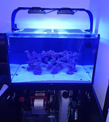 Red Sea Reefer XL 350 Saltwater Aquarium | eBay