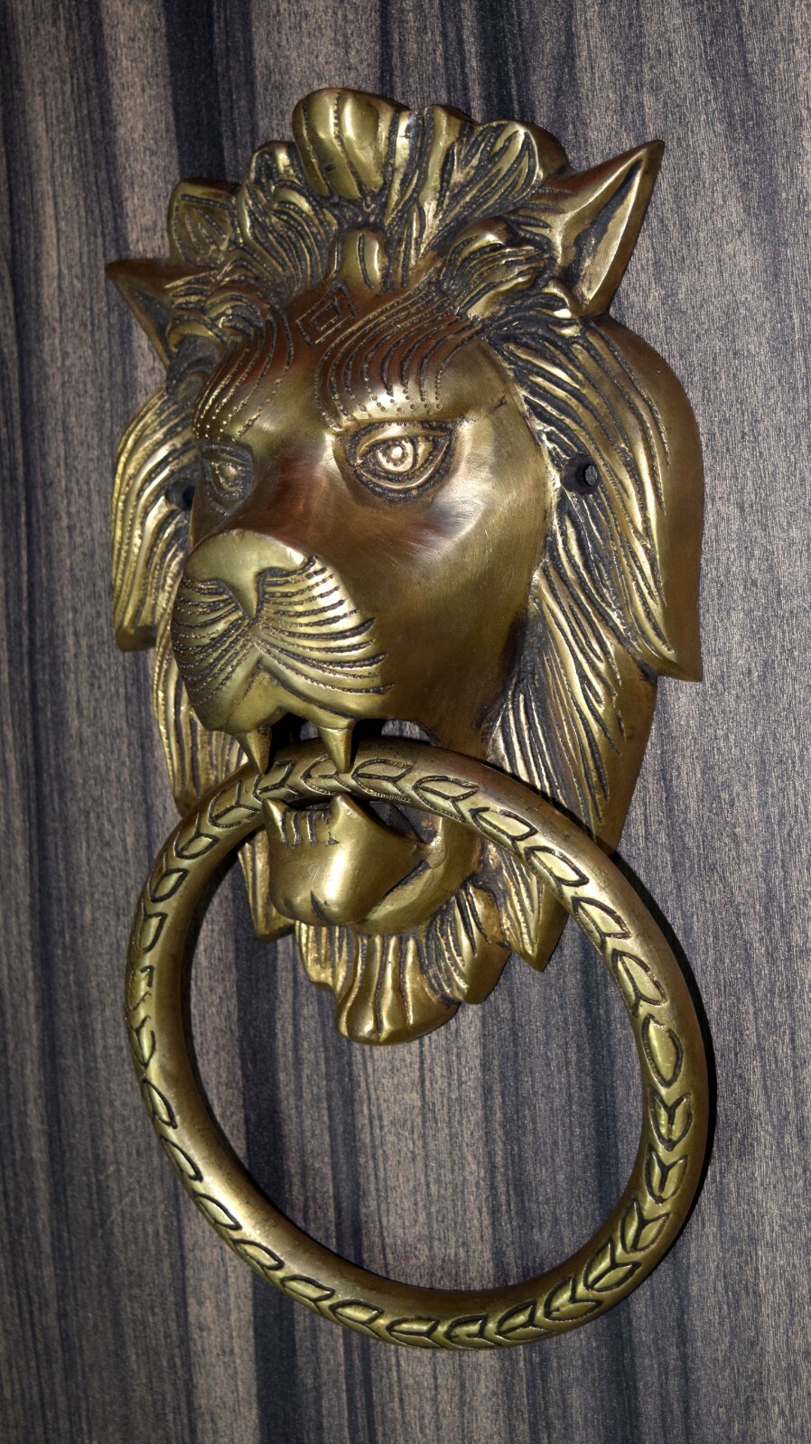 Brass Lion Face Door Knocker Wildcat Animal Handmade door Bell Anneau ...