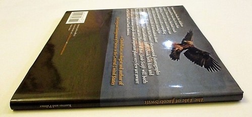 The Tale of Jacob Swift-Jeff Kurrus-HC/DJ-as new | eBay