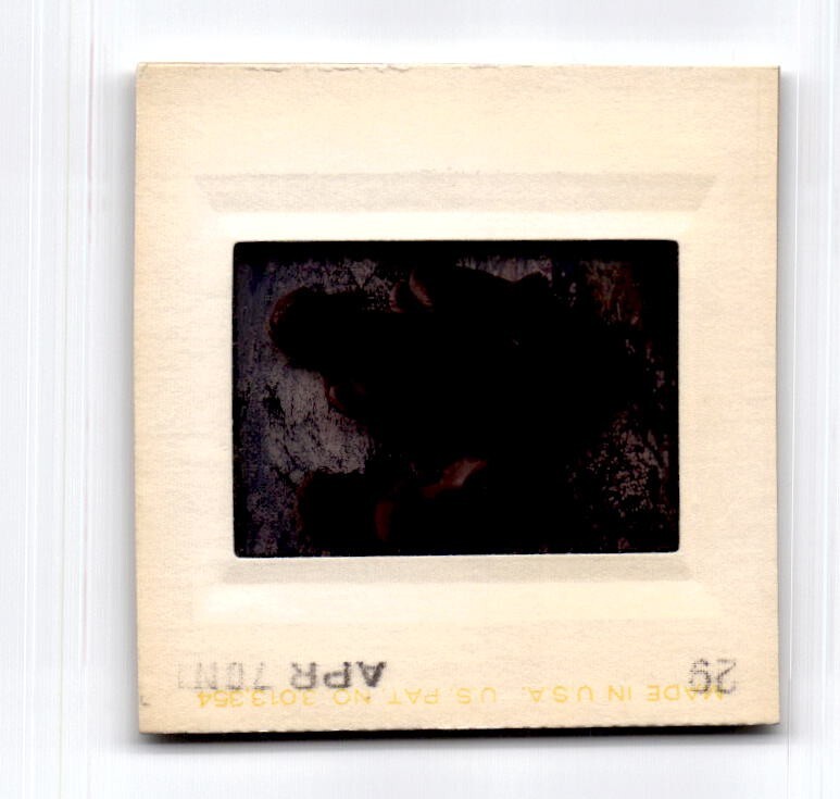 Pretty Woman Handsome Man Swimsuit Photo Shoot Outtakes 35mm Slide ...