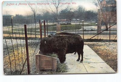 Buffalo & Monkey Cages Washington Park Milwaukee WI DB Postcard Vtg ...