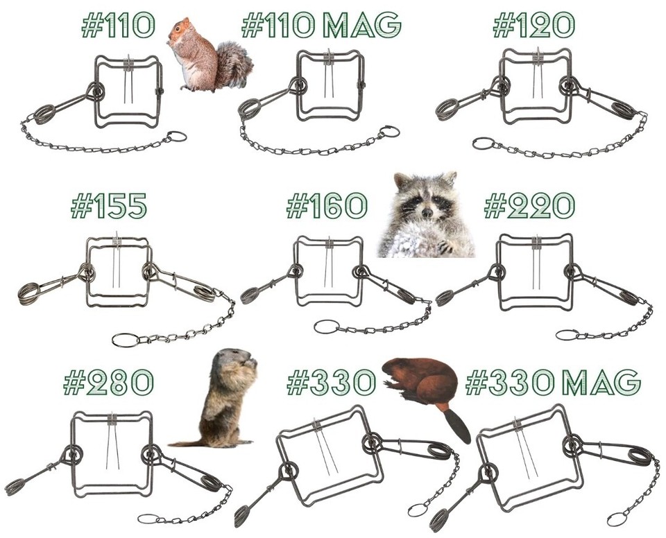 Duke #110 Body-Grip Animal Trap 1 H x 5.5 W x 5.5 D in. for Minks ...