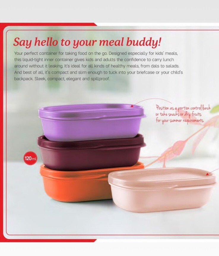 Tupperware Buddy Lunch Set