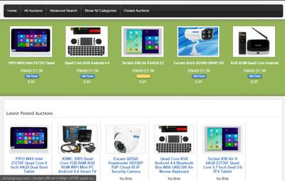 Best Professional Bidding Auction Website Free Installation+Free ...