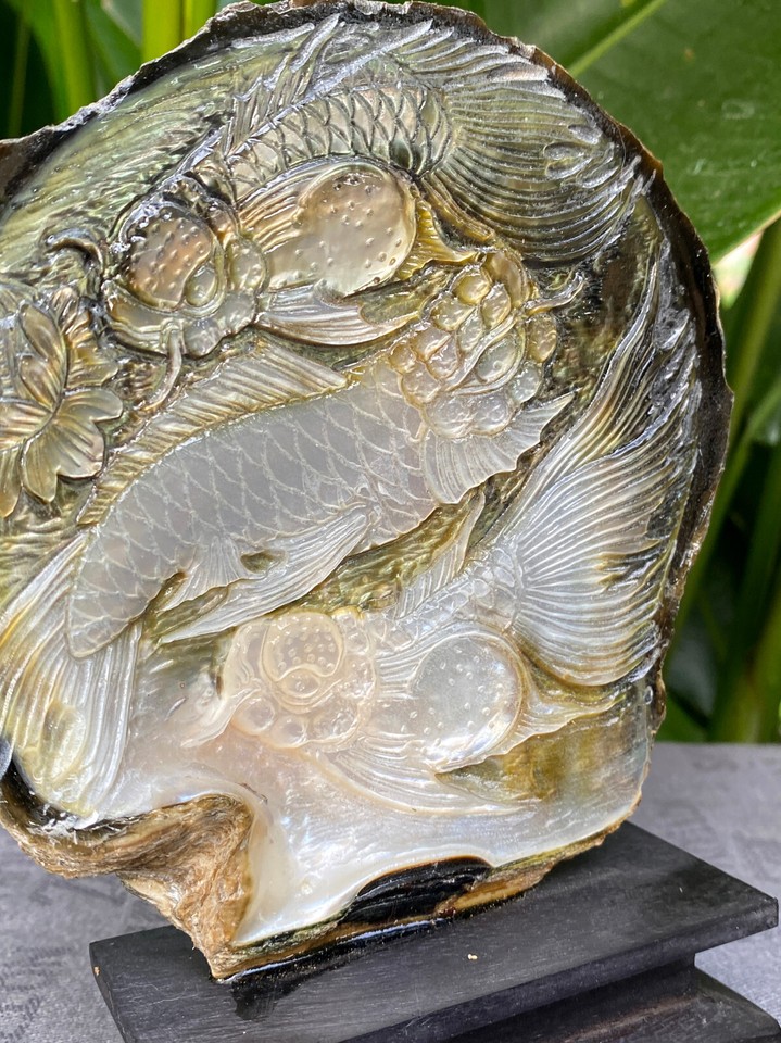 Beautiful Carved Seashell stunning Mother of pearl carved Shell incl ...