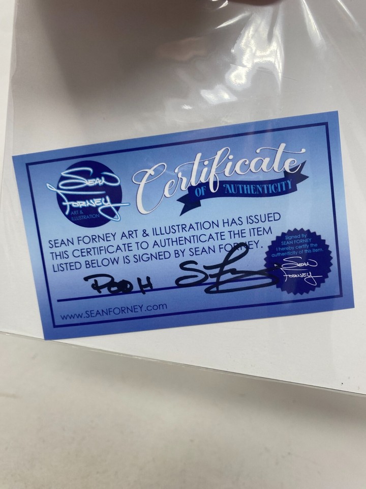 All Out Pooh Poohverse OptimusPooh 25/30 SIGNED Sean Forney COA | eBay