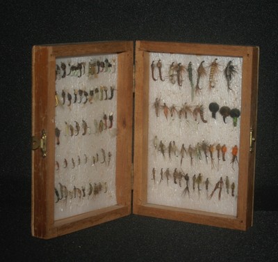 Flies - Fly Display