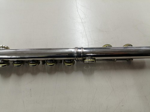 "Nikkan No 30 Flute with Case - For Parts/Repair, Used Condition" | eBay