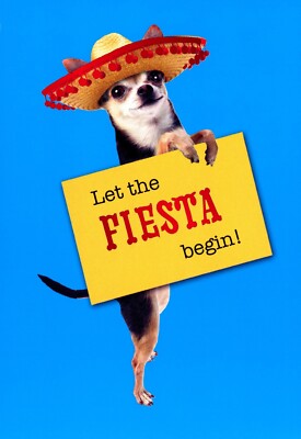 Funny BIRTHDAY Card, Cute Chihuahua Dog Sombrero Fiesta by American ...