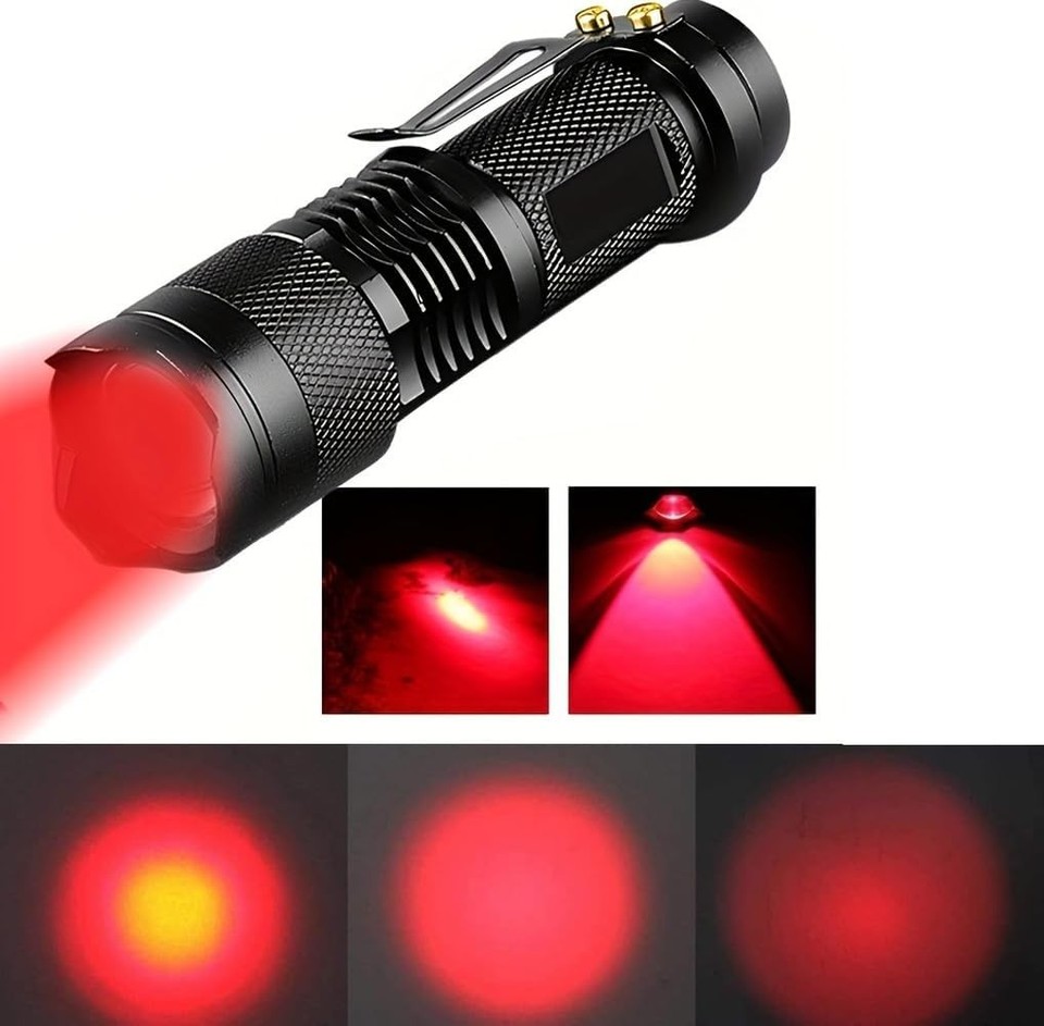 3 Pack Red Green Blue Light Bright Small Flashlights, LED Mini ...