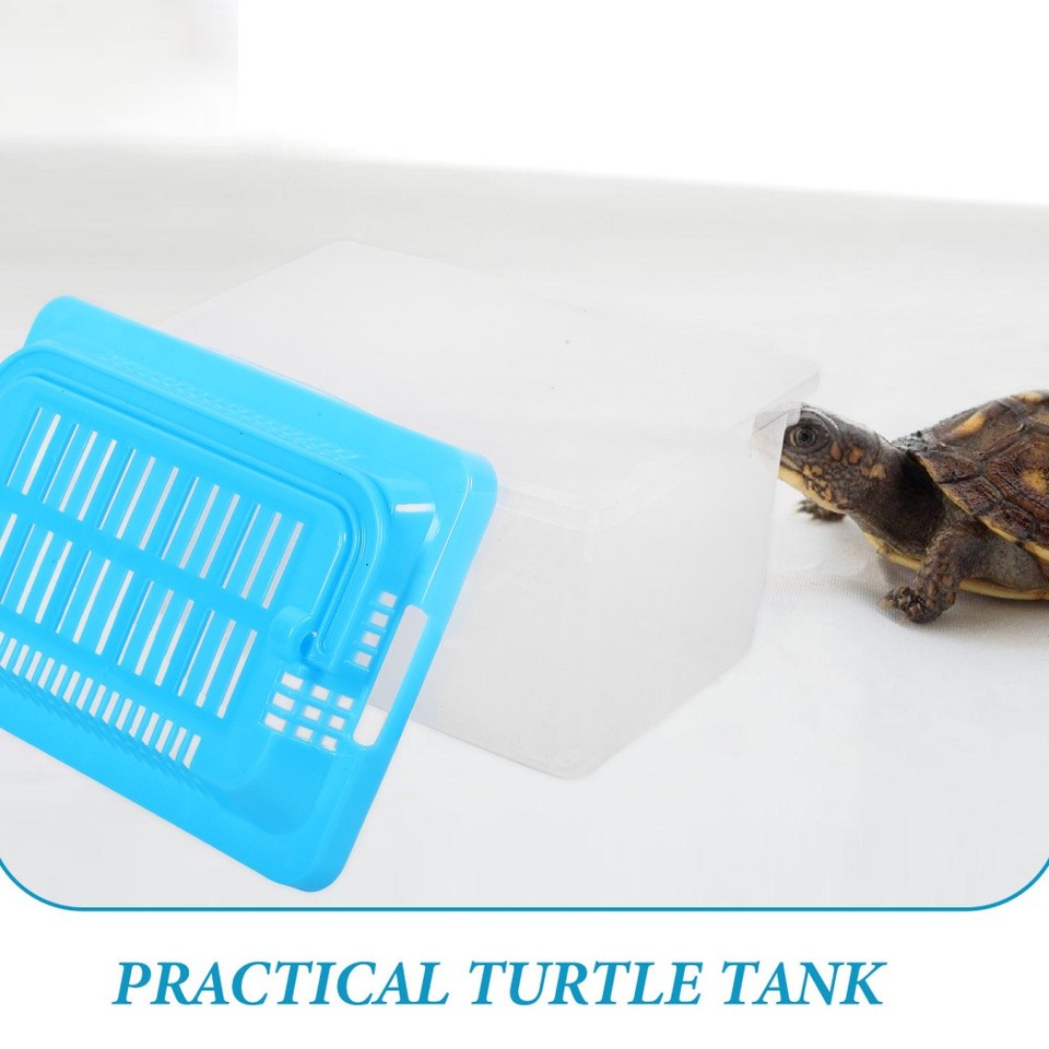 Reptile Transport Box Small Plastic Fish Tank Carrier Turtle Aquarium ...