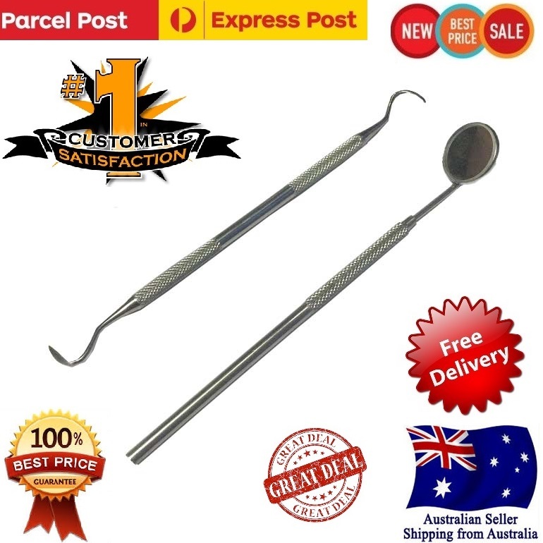 Stainless Steel 6-Piece Dental Care Tool Kit for sale online | eBay