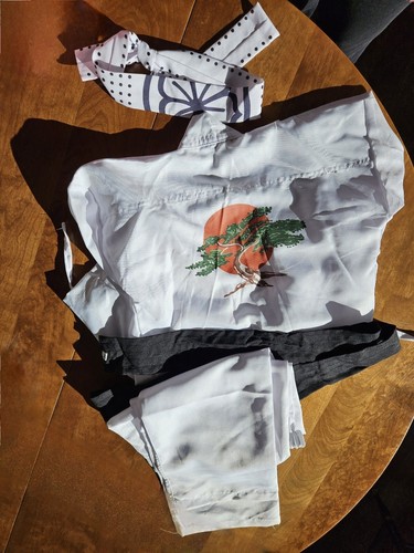 Child Karate Kid Daniel San Cobra Kai Miagi Gi Costume SIZE LARGE | eBay