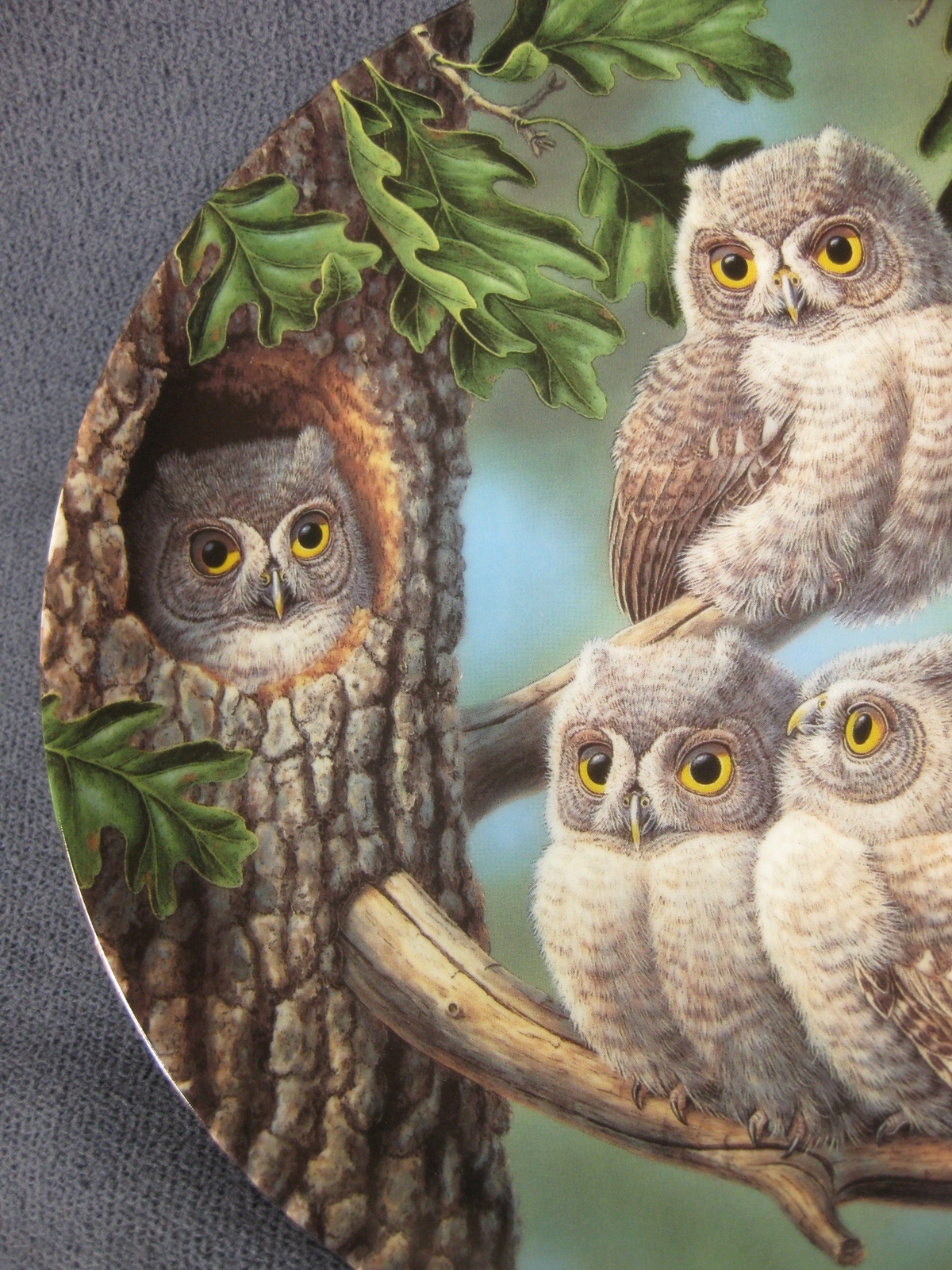 Peek-A-Whoo Collector Plate Baby Owls Of North America Joe Thornbrugh ...