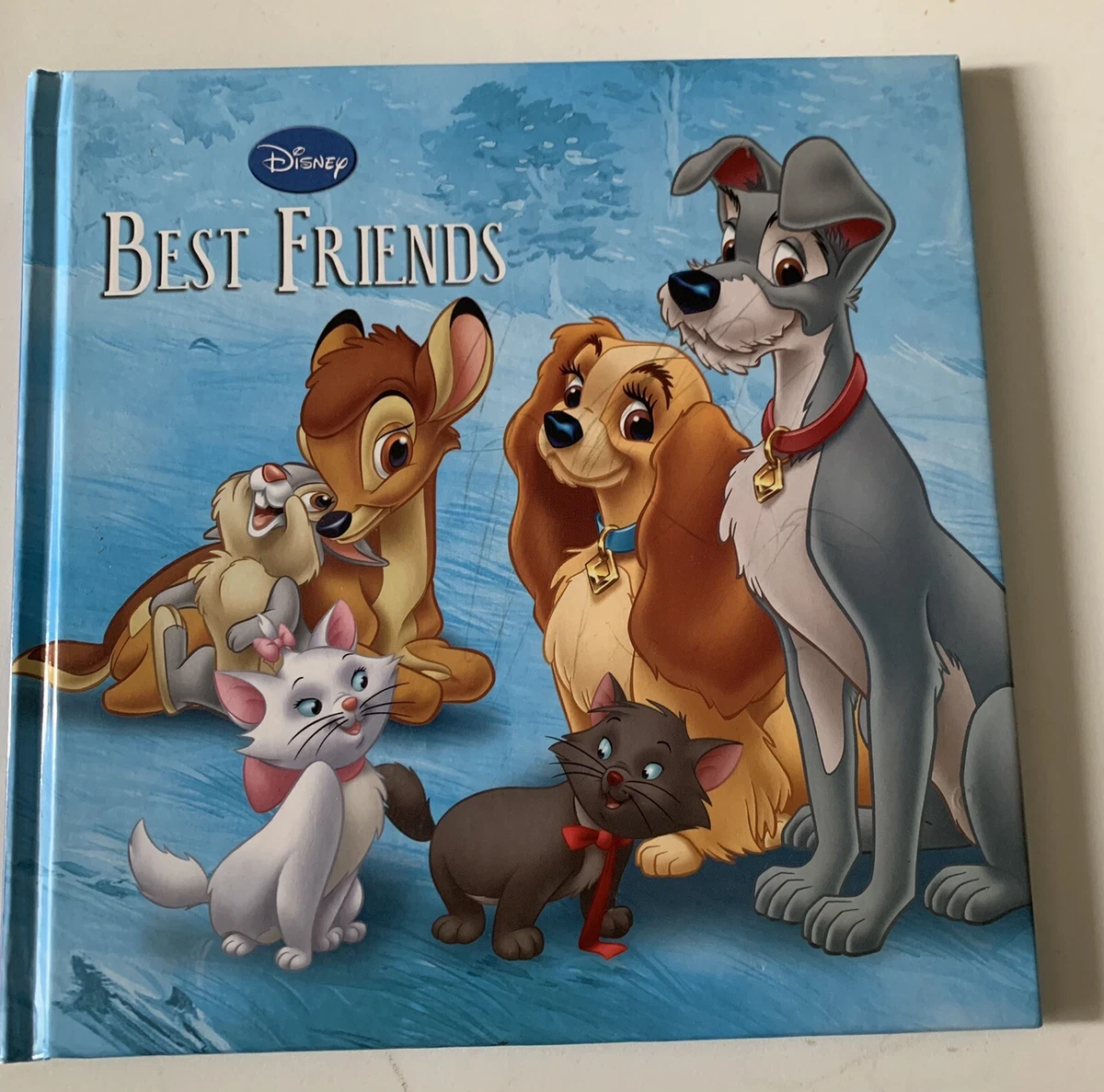 Disney Best Friends Characters