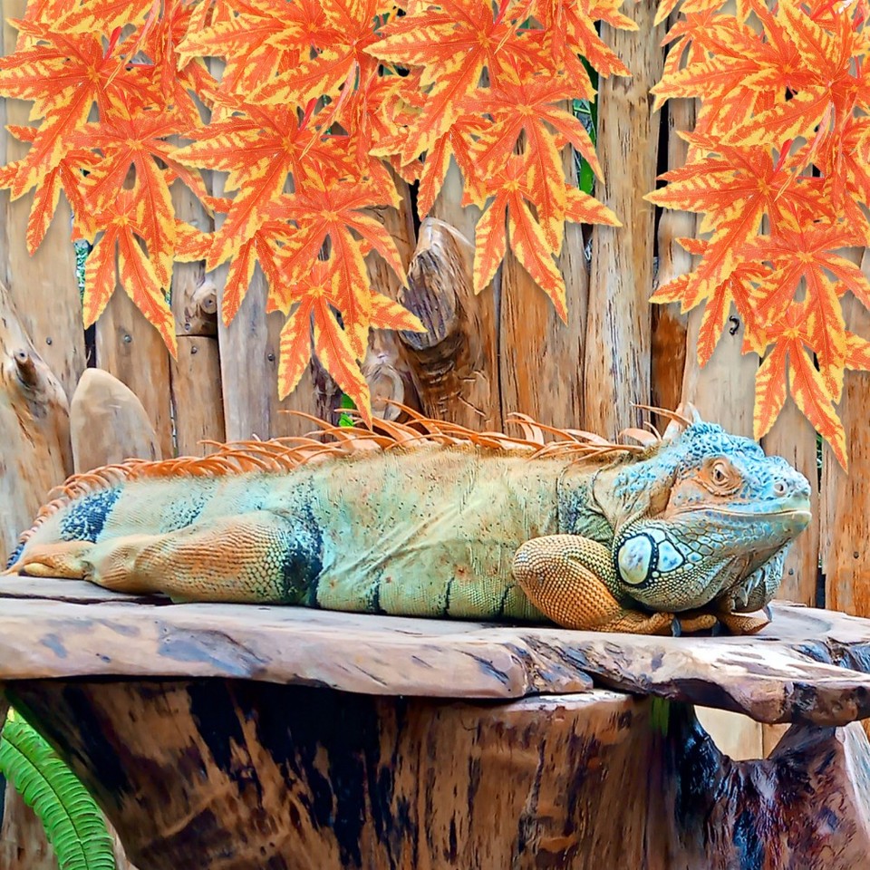 Lizard Tank Accessories Aquarium Decoration Tall Plants for Aquariums ...