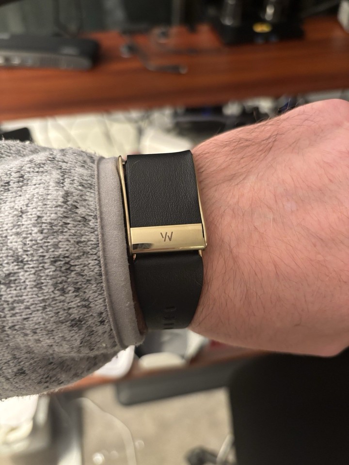 Whoop 5.0/MG Slim Taper Black Leather Luxe Band - Shiny Gold Clasp ...