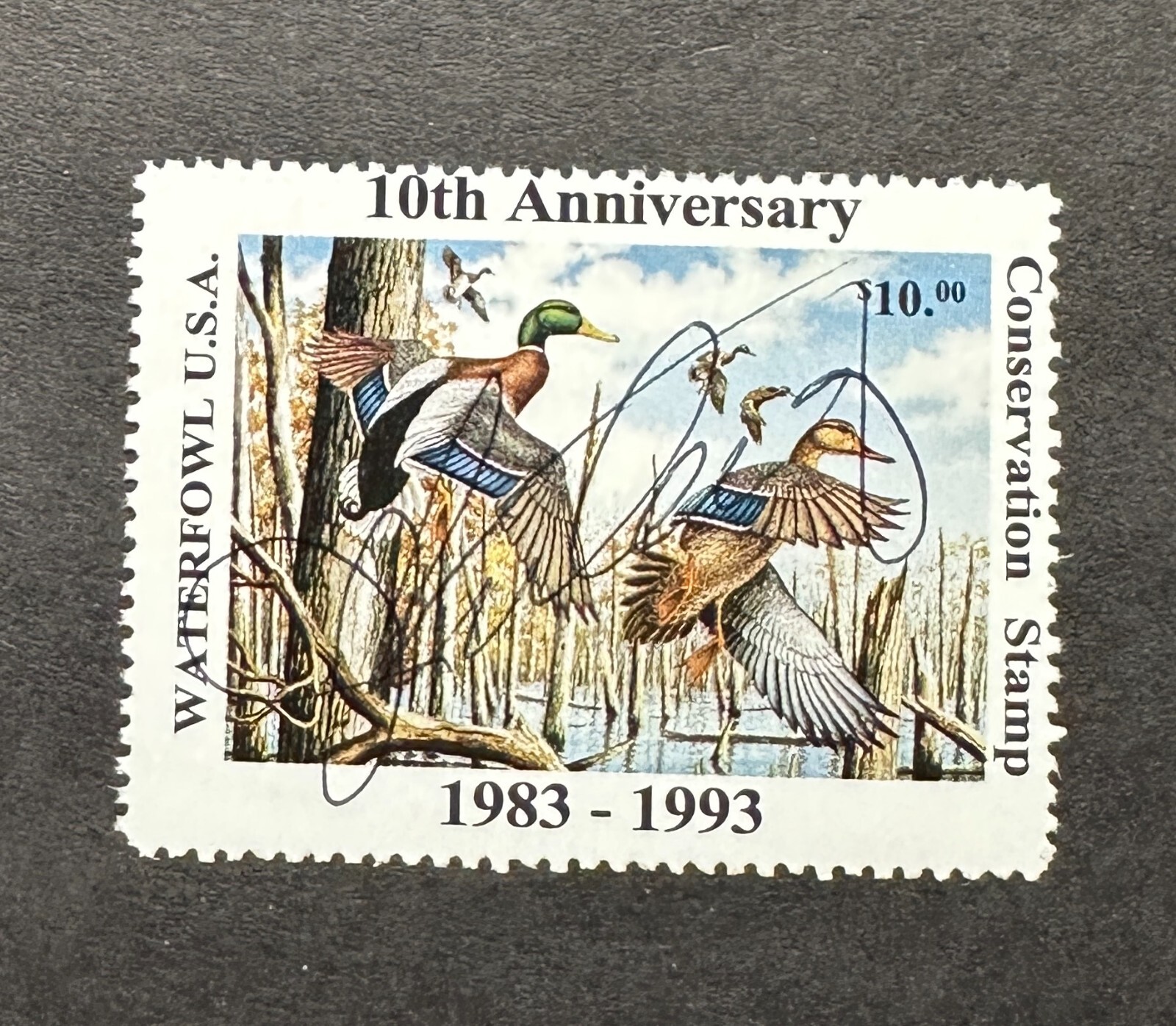 1993 Waterfowl USA Conservation Duck Stamp 10th Anniversary MNH ...