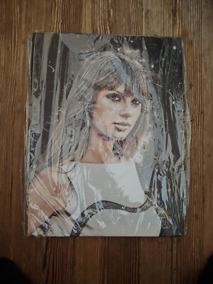 TAYLOR SWIFT LIVE CONCERT CANVAS WALL ART - Mounted - NEW | eBay