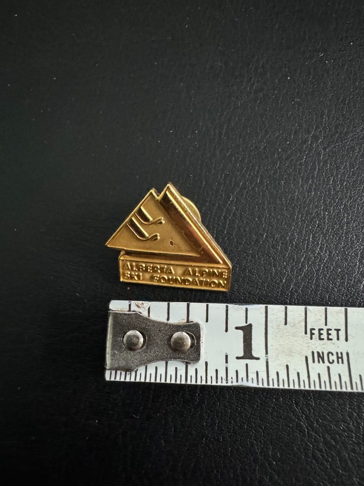 Vintage Ski Resort Team Racing Skiing Pins Aspen Taos Whistler ...