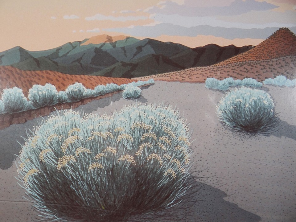 Vintage Doug West Signed Art Print Desert Sky & Landscape 37 1/2 ...