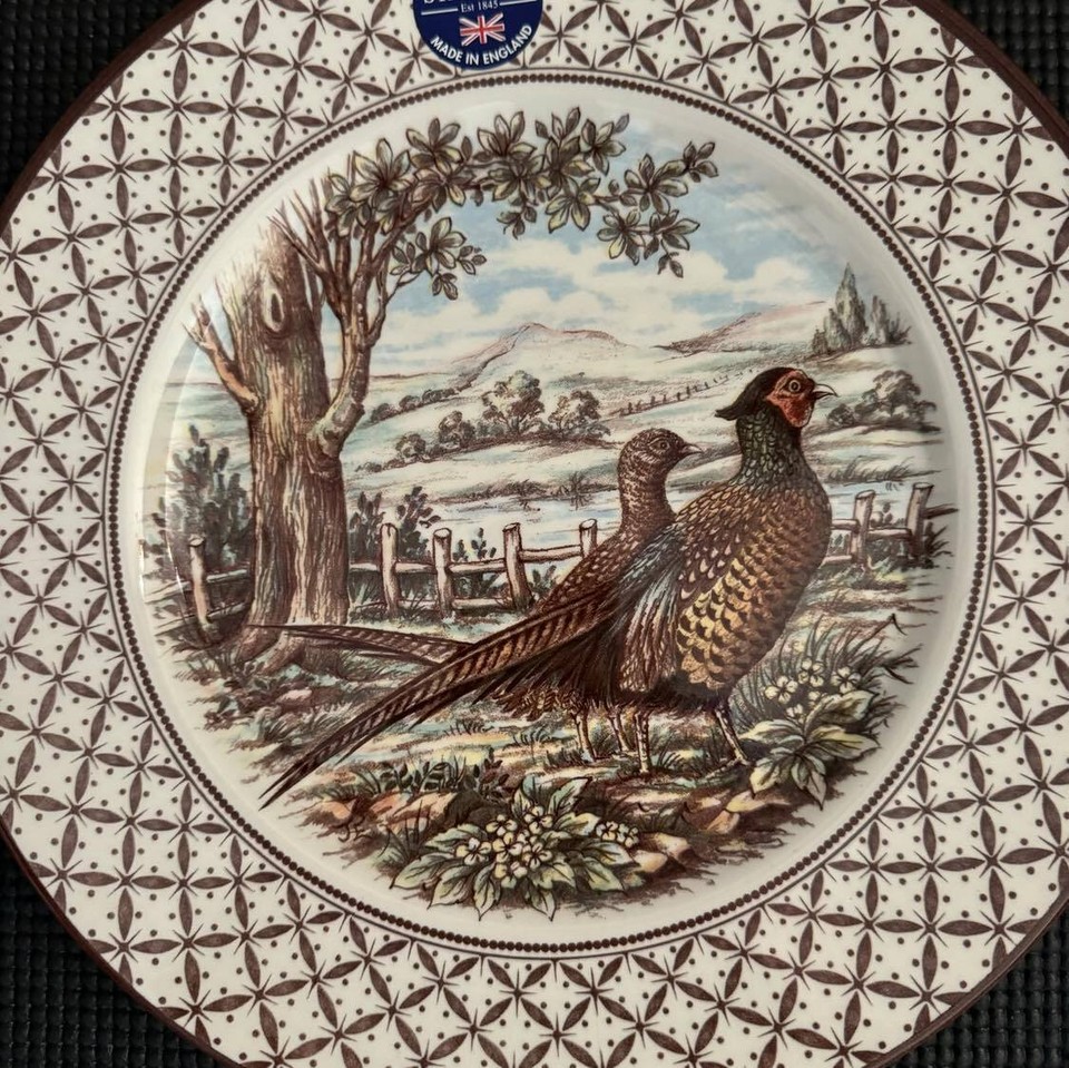 2 Royal Stafford Thanksgiving CAPERCAILIE Turkey Pheasant Dinner Plates ...