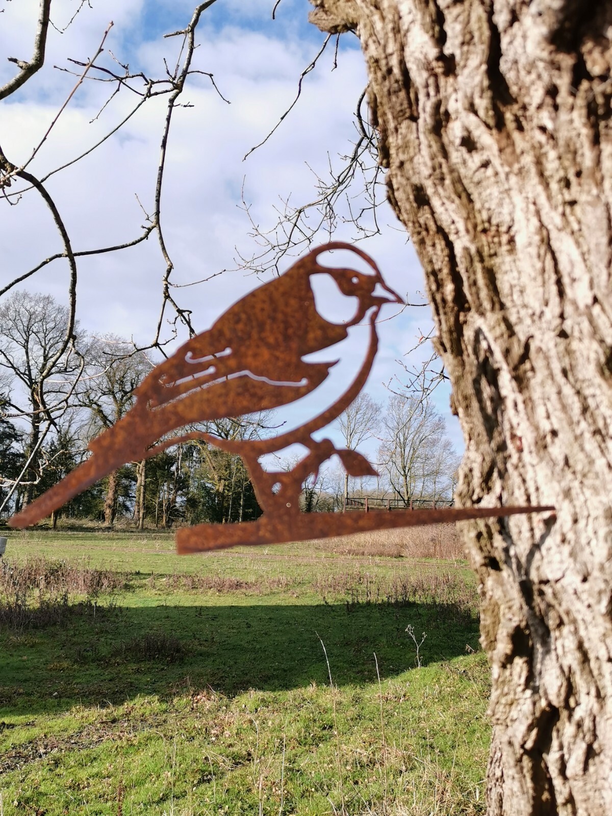 RUSTY METAL BLUE TIT SILHOUETTE GARDEN ART RUSTIC BIRD SCULPTURE GARDEN ...