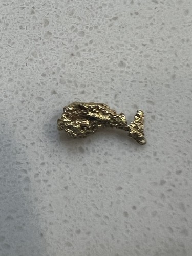 Beautiful “Fish Shaped” Gold Nugget 0.093 | eBay